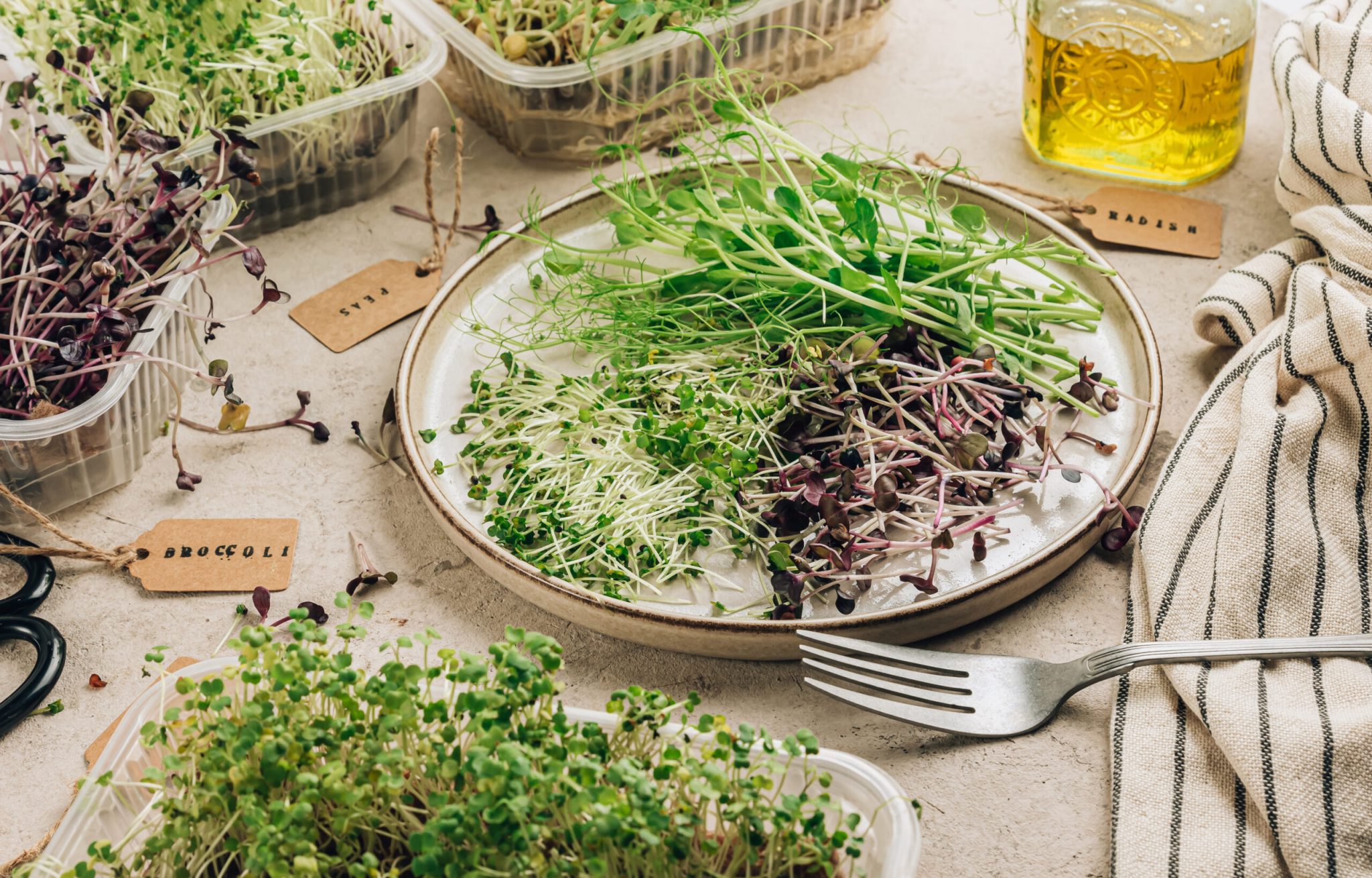 Workshop: Growing Sprouts and Microgreens – The Grist Mill and Gardens ...